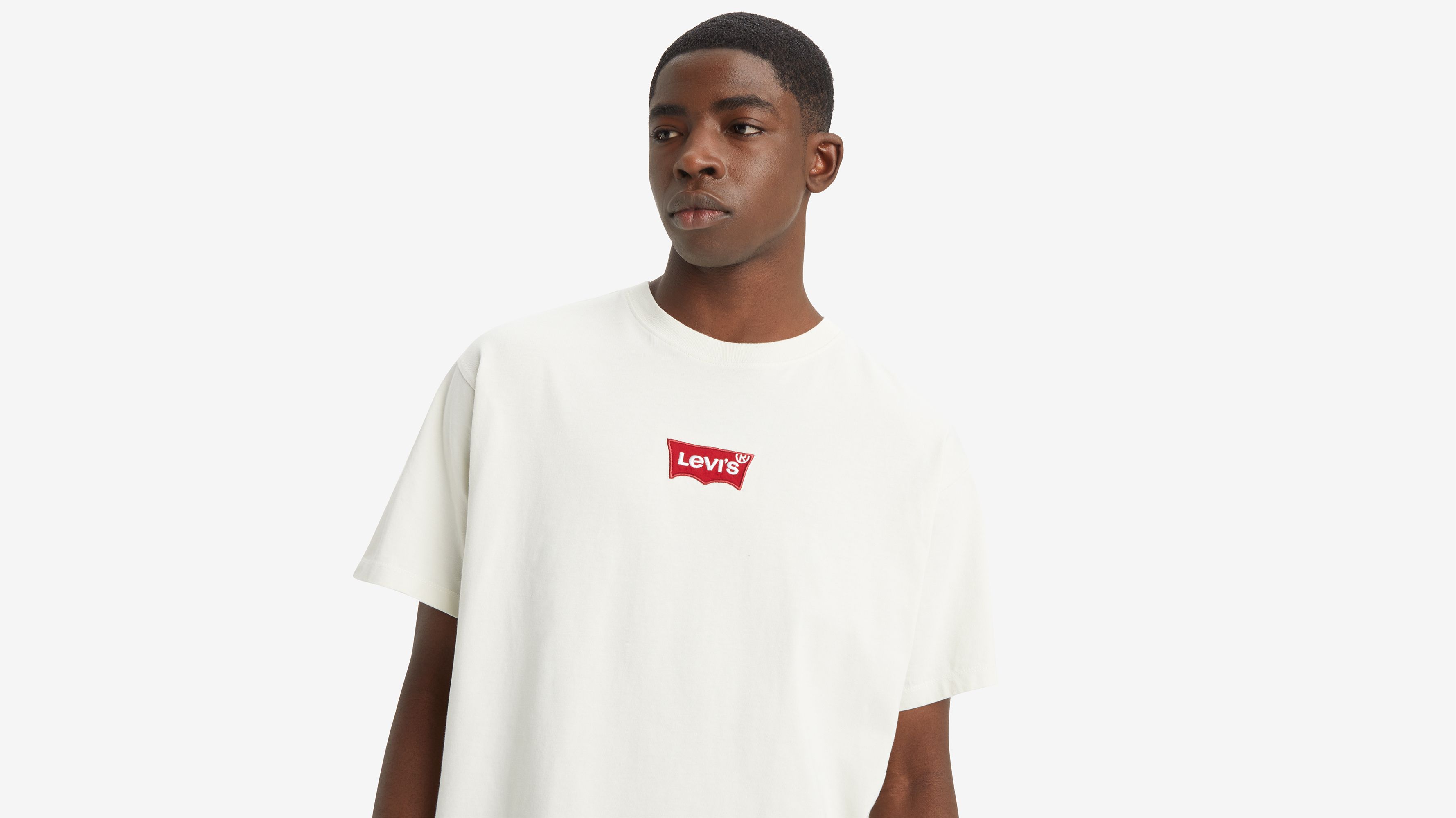 Vintage Fit Graphic Tee - Grey | Levi's® NO