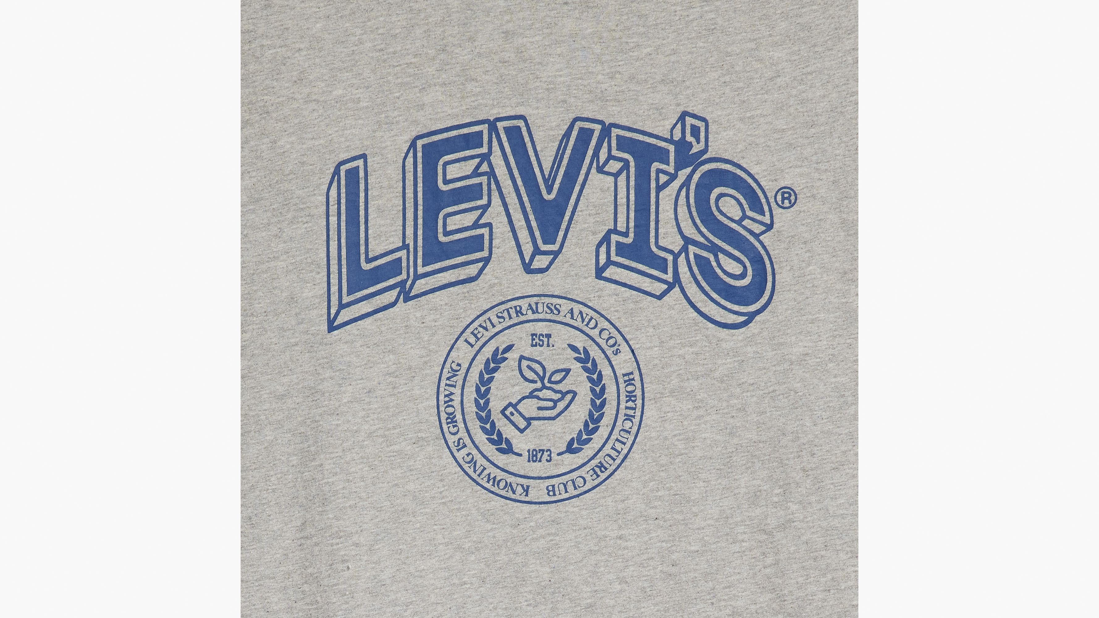 Relaxed Fit Short Sleeve Graphic T-shirt - Grey | Levi's® US