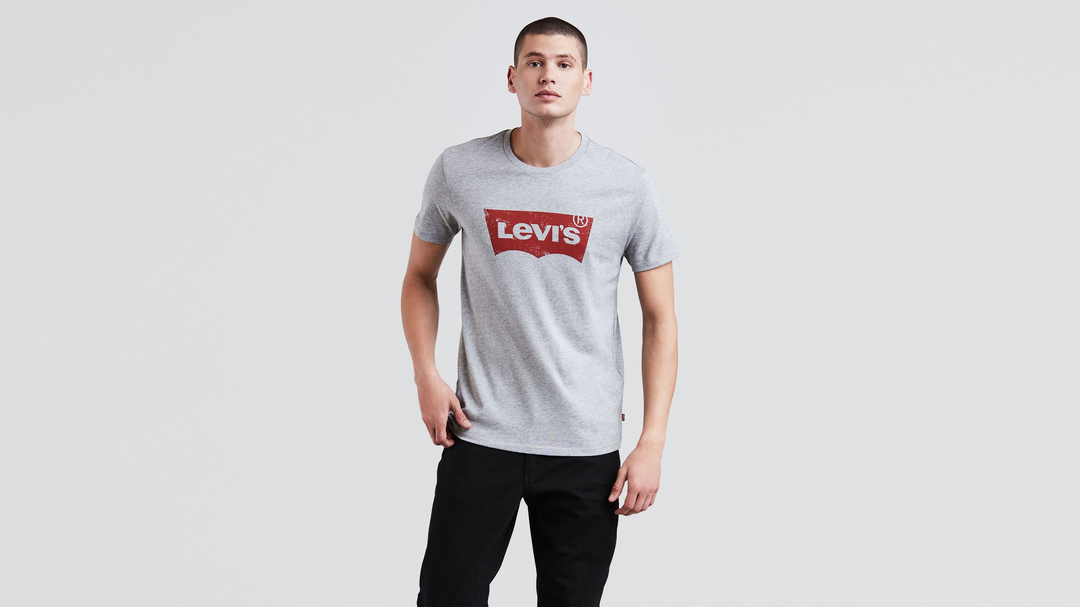 Graphic Set-in Neck Tee - Grey | Levi's® AD