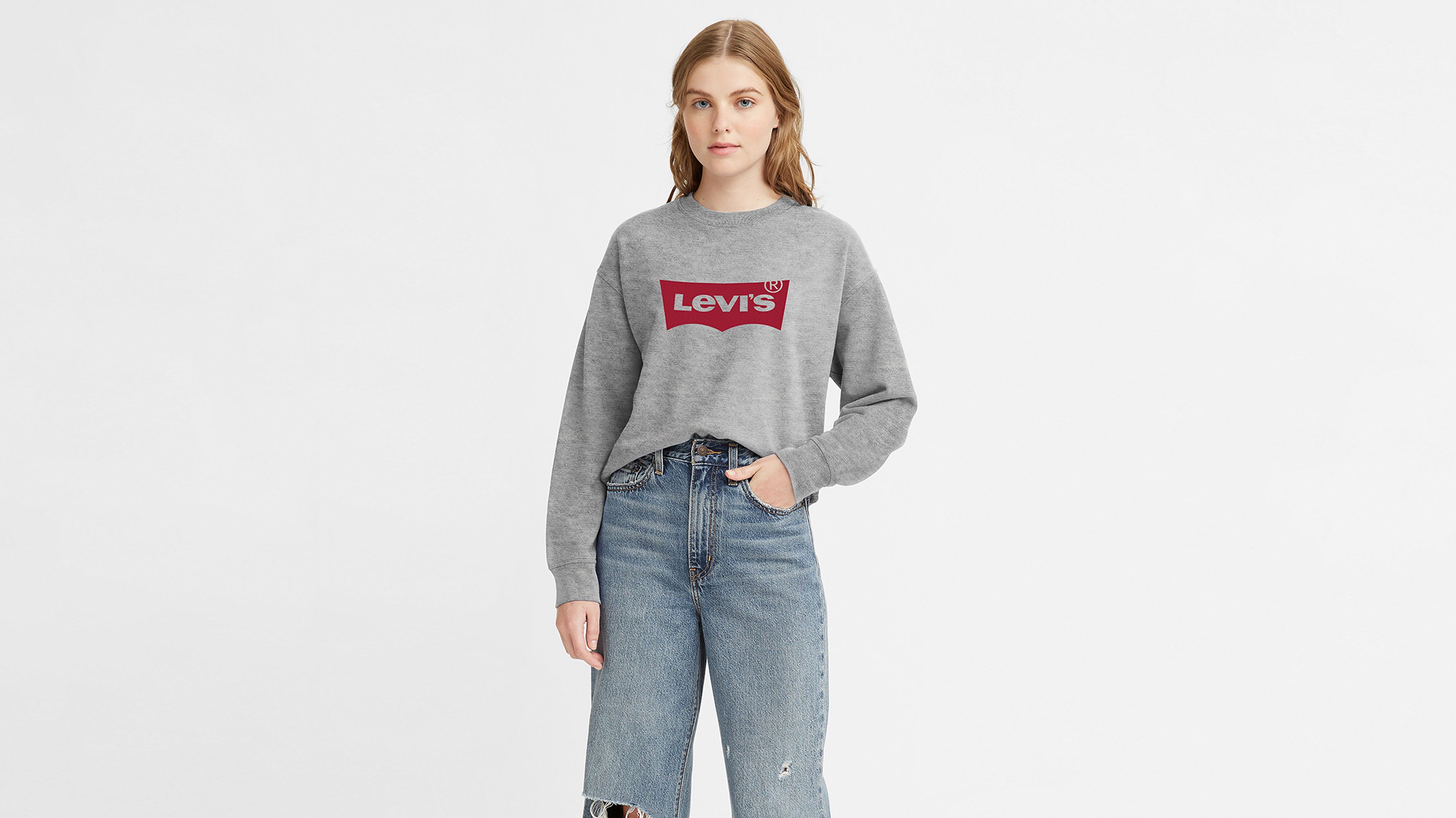 Standard Graphic Crew Neck - Grey | Levi's® FR