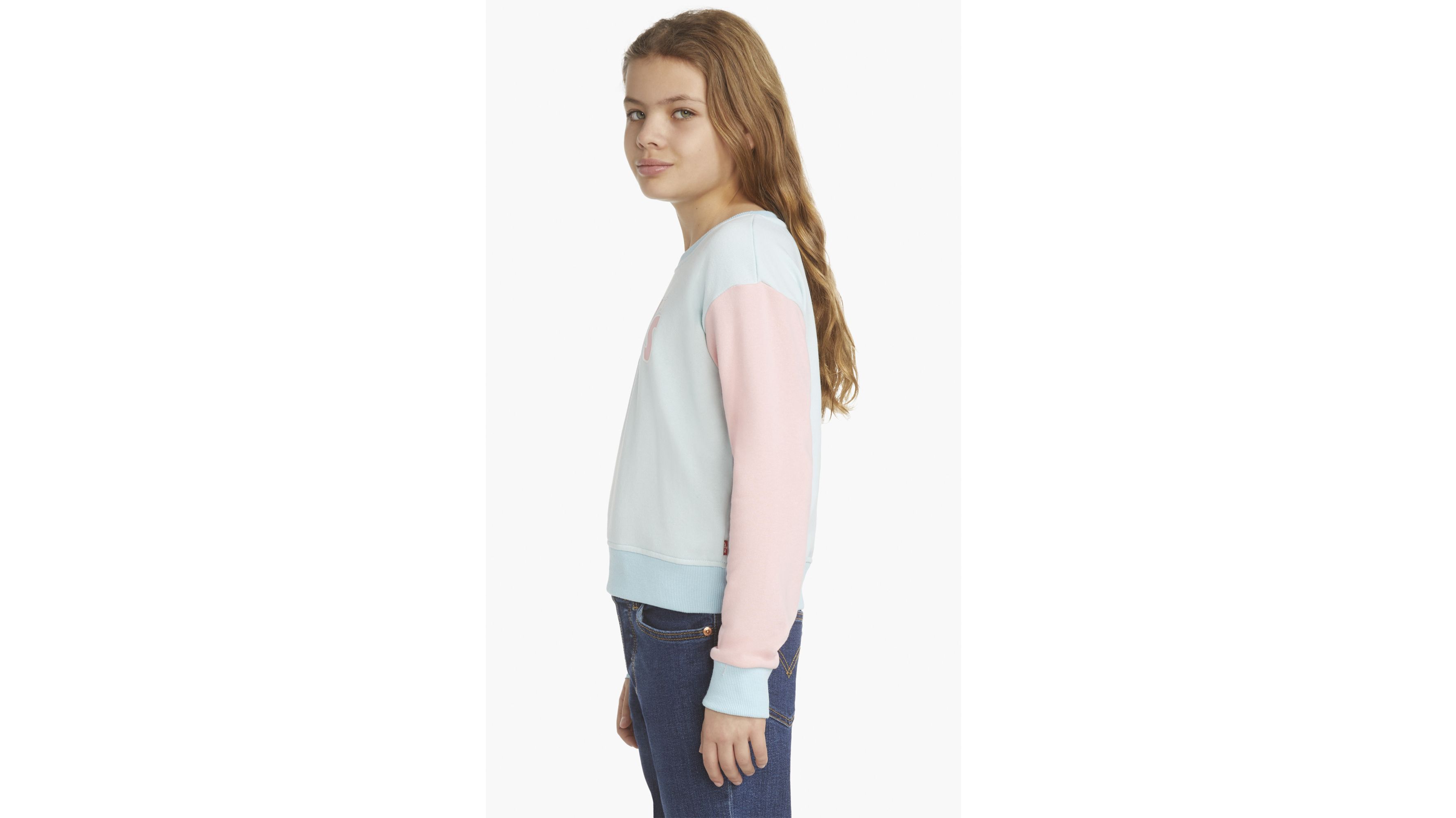 Colorblock Crewneck Sweatshirt Big Girls S-xl - Blue | Levi's® US
