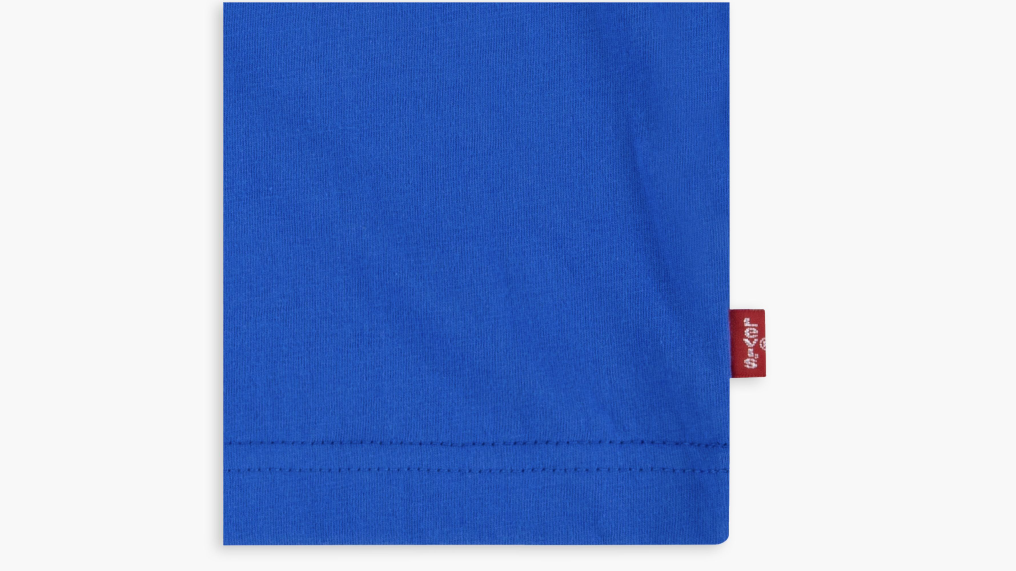 Hear Me Roar Short Sleeve Graphic T-shirt Toddler Boys 2t-4t - Blue ...