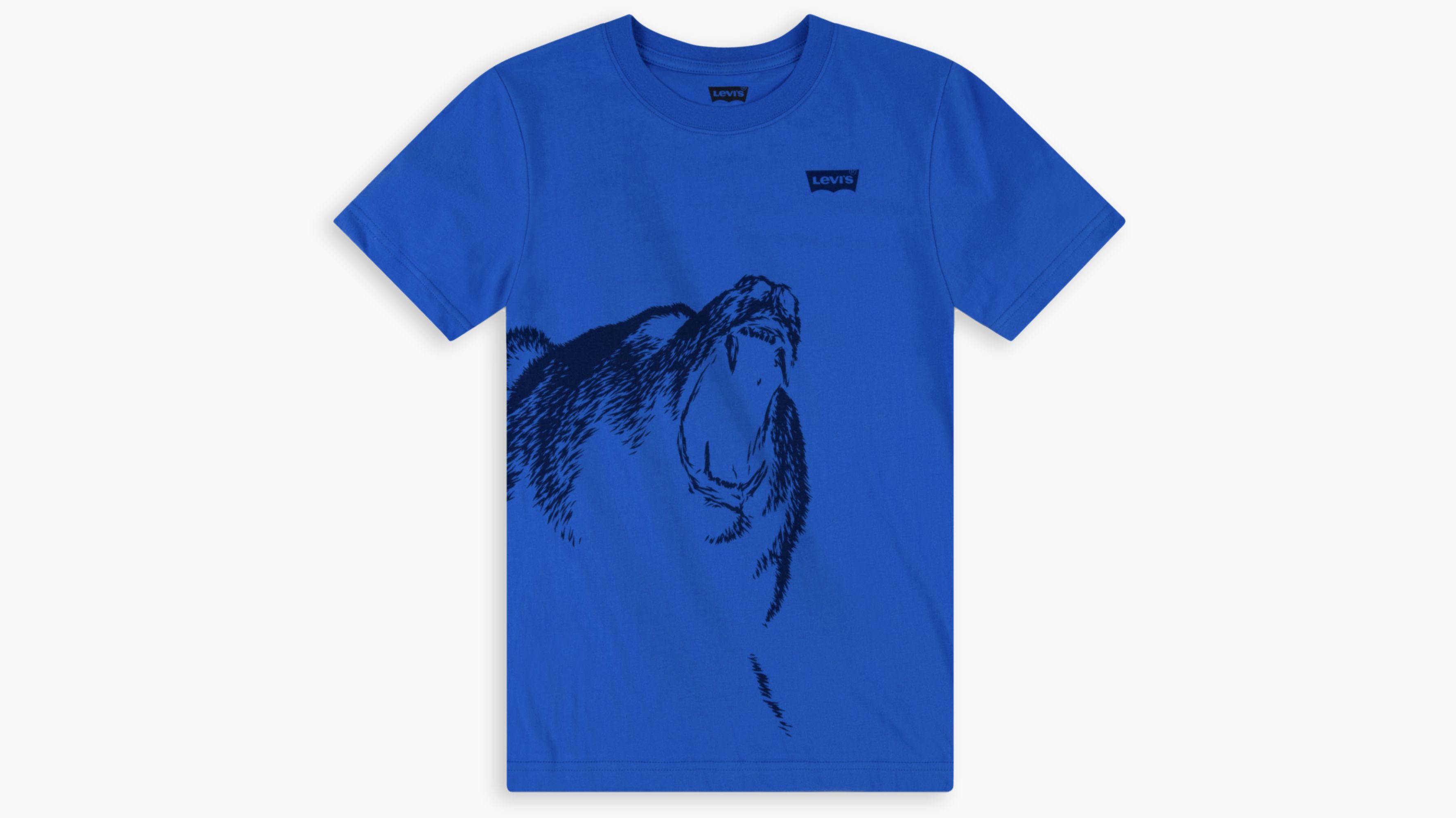 Hear Me Roar Short Sleeve Graphic T-shirt Toddler Boys 2t-4t - Blue ...