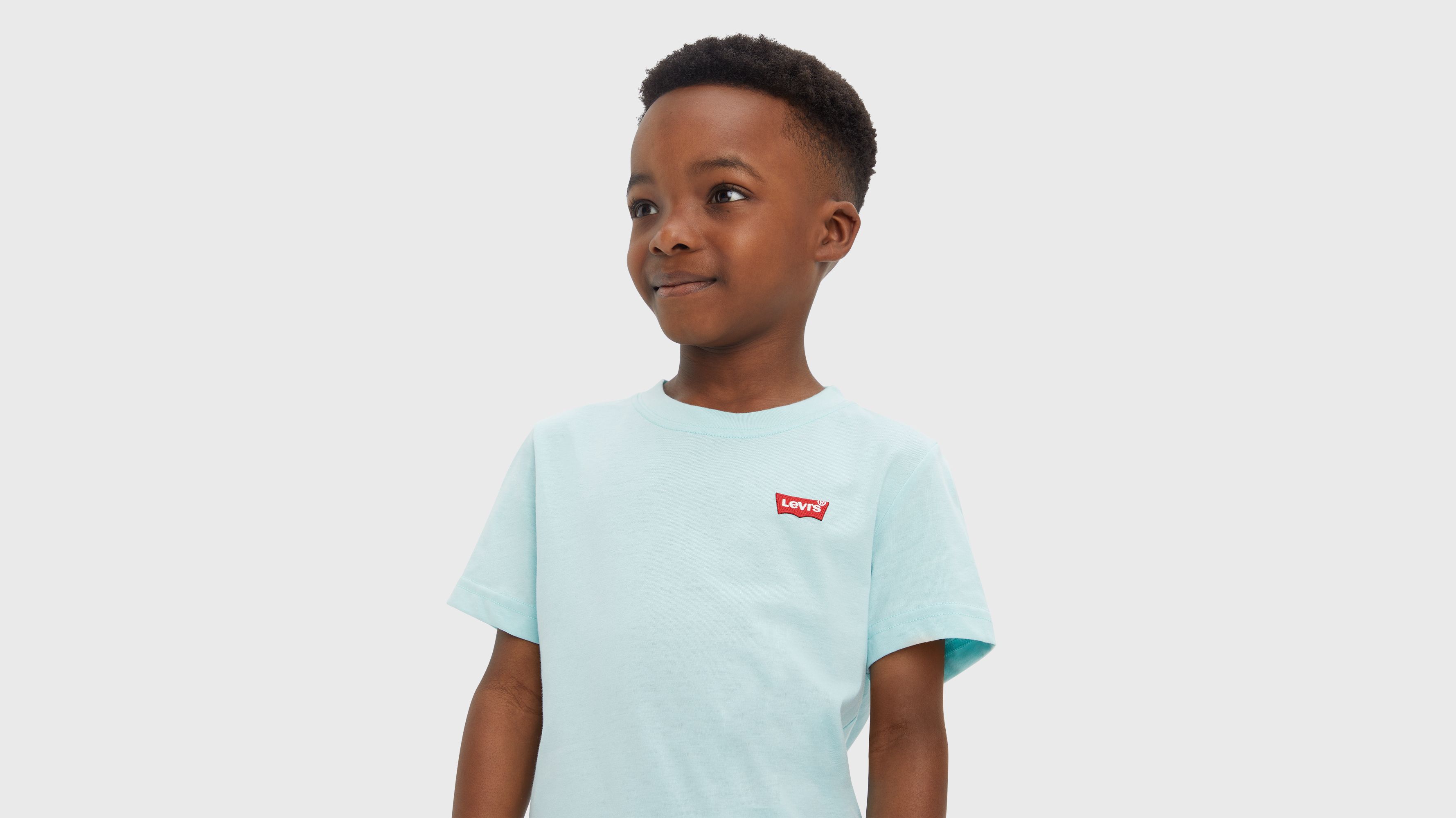 Kids Batwing Chest Hit Tee - Green | Levi's® PL