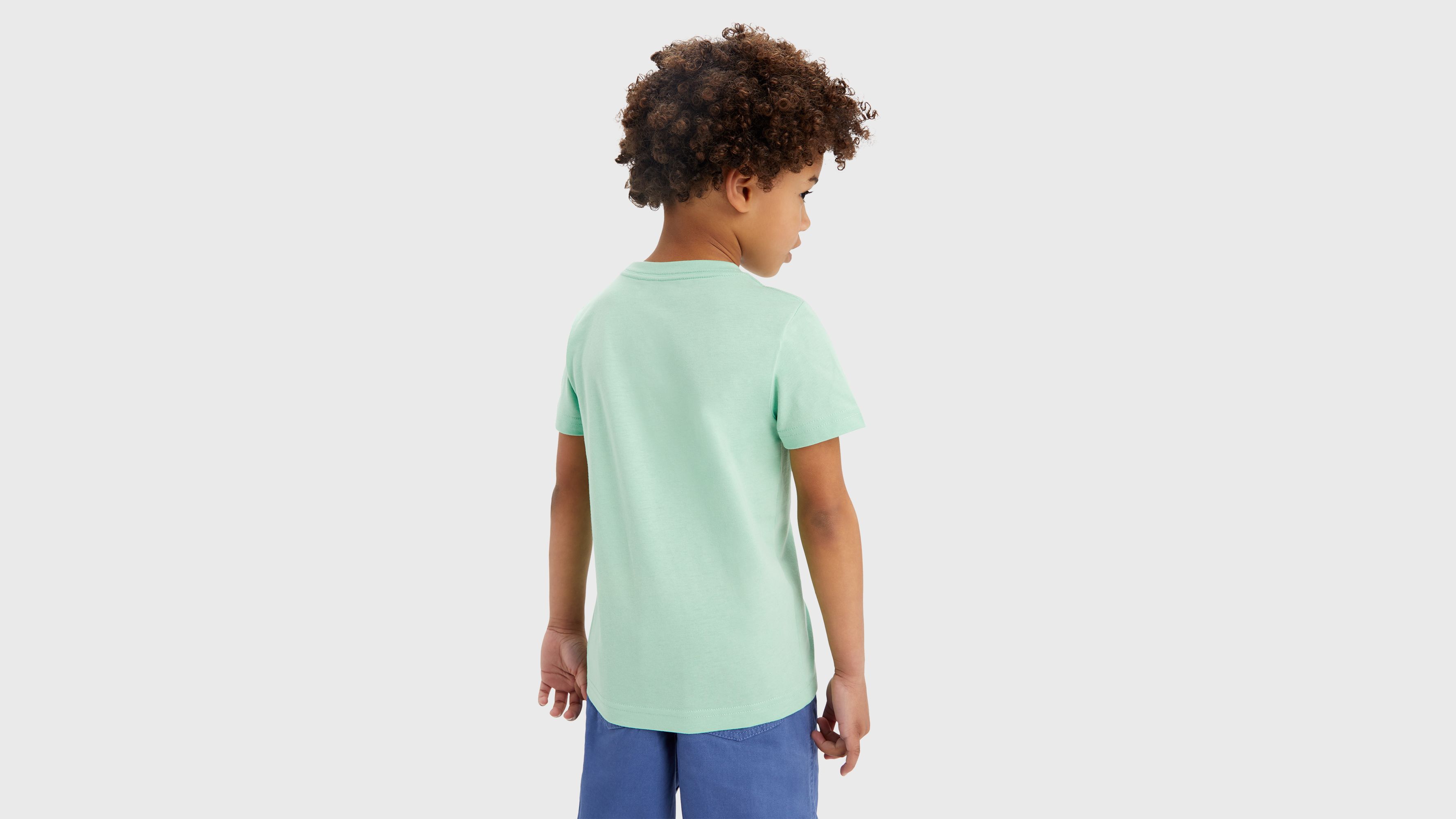 Kids Batwing Tee - Green | Levi's® FR