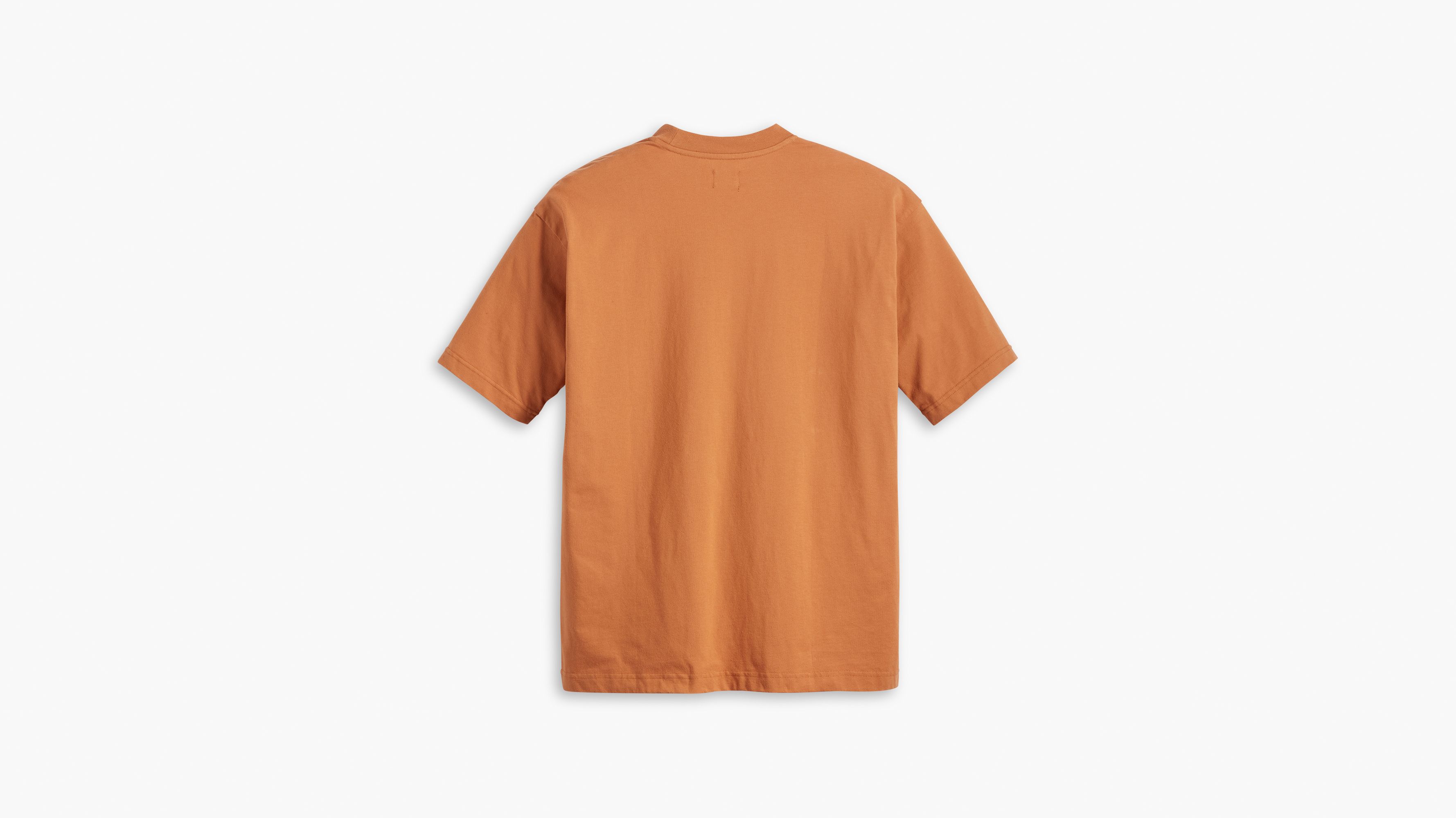 Levi's® Skateboarding Graphic Boxy T-shirt - Blue | Levi's® US