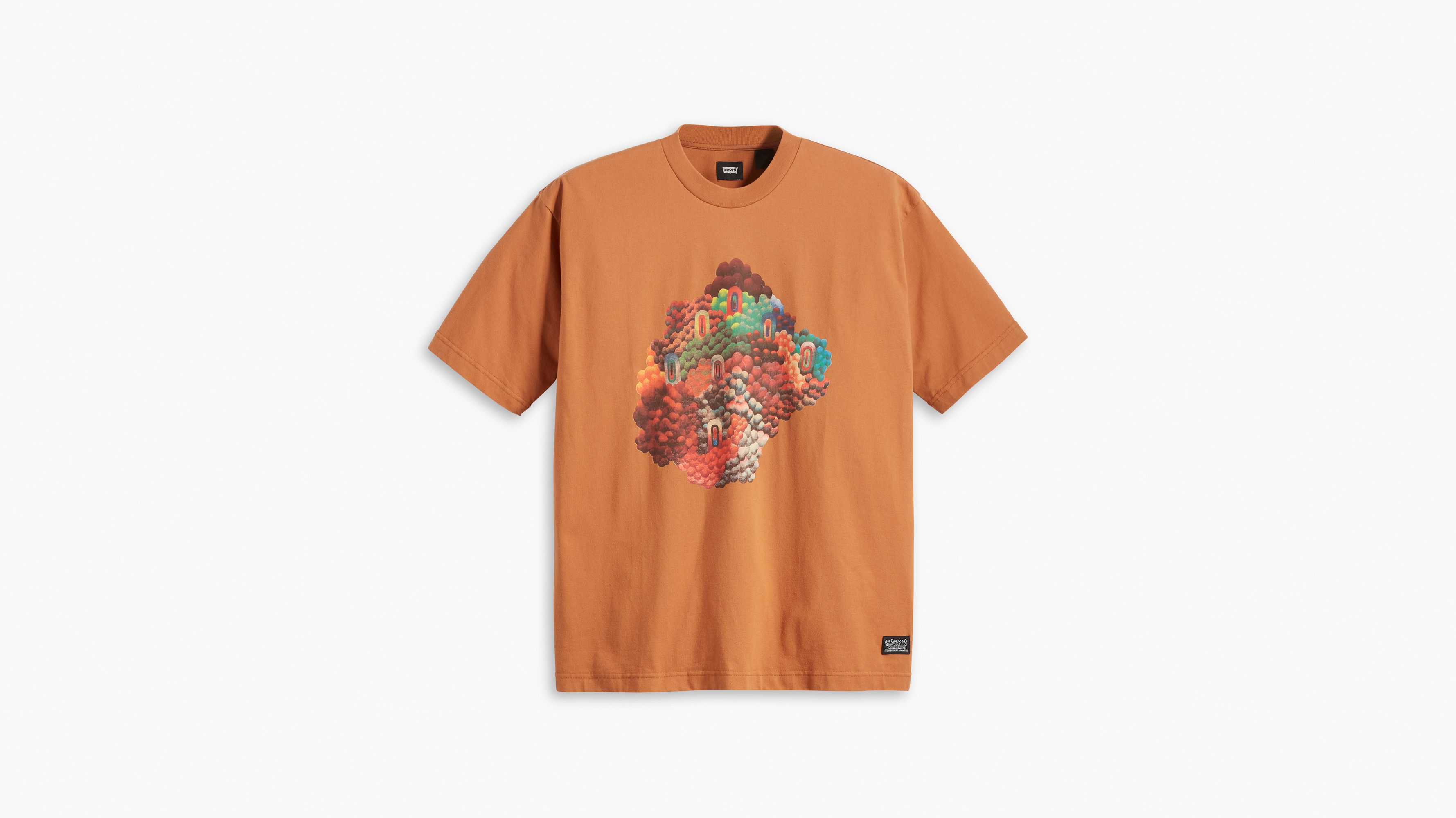 Levi's® Skateboarding Graphic Boxy T-shirt - Blue | Levi's® US