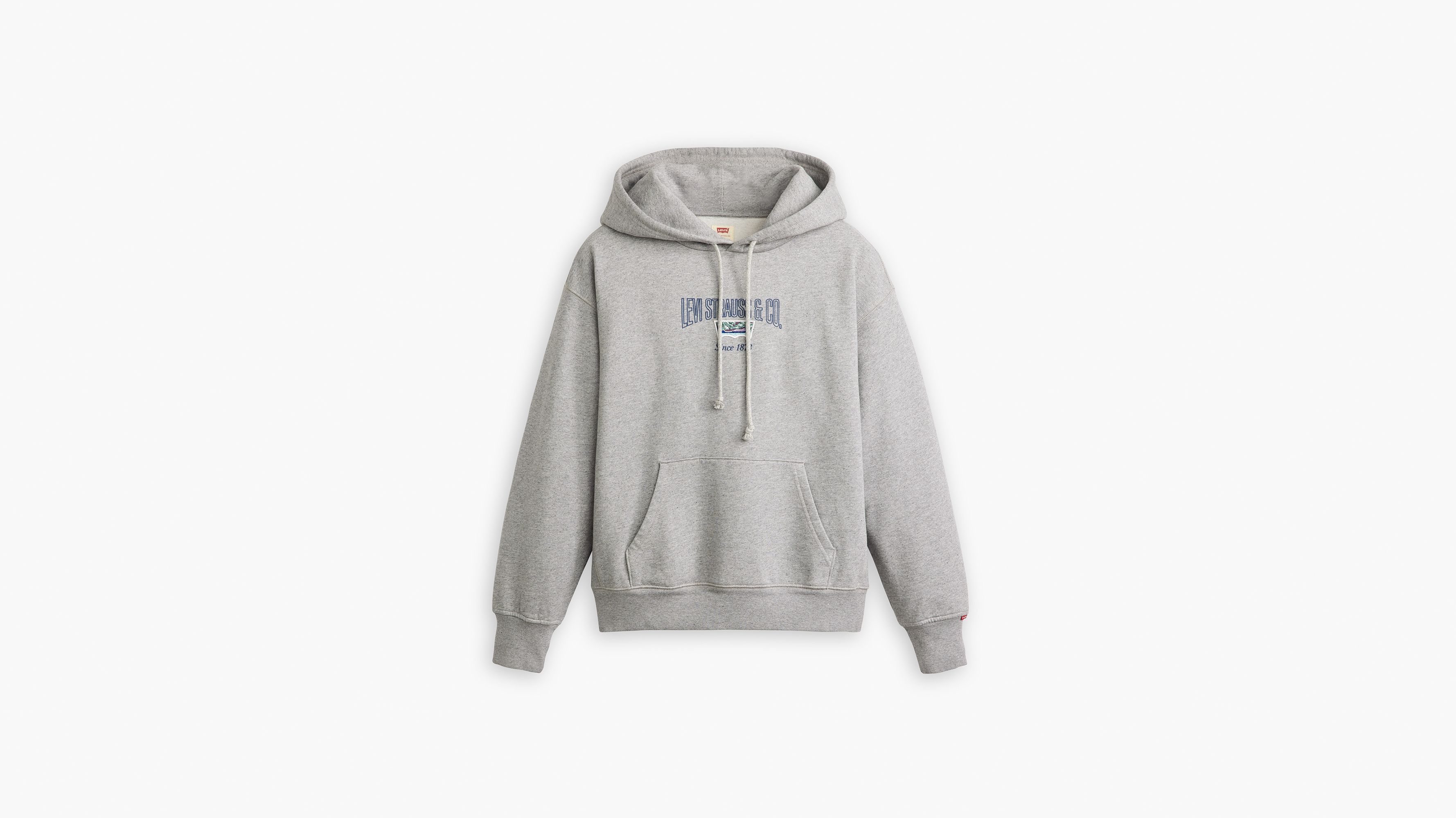 Graphic Heritage Hoodie - Grey | Levi's® HR