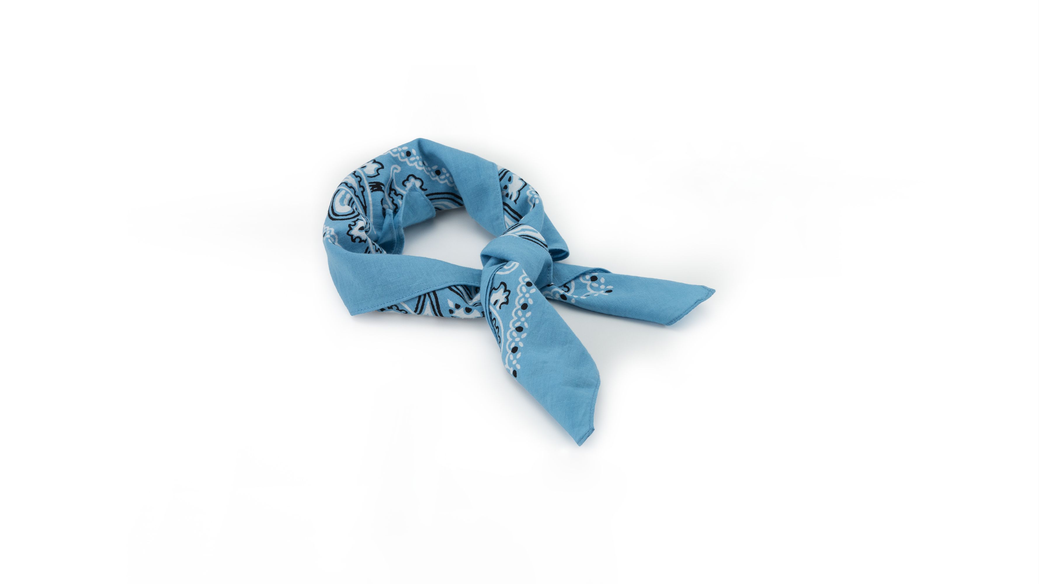 Siskiyou Bandana - Blue | Levi's® US